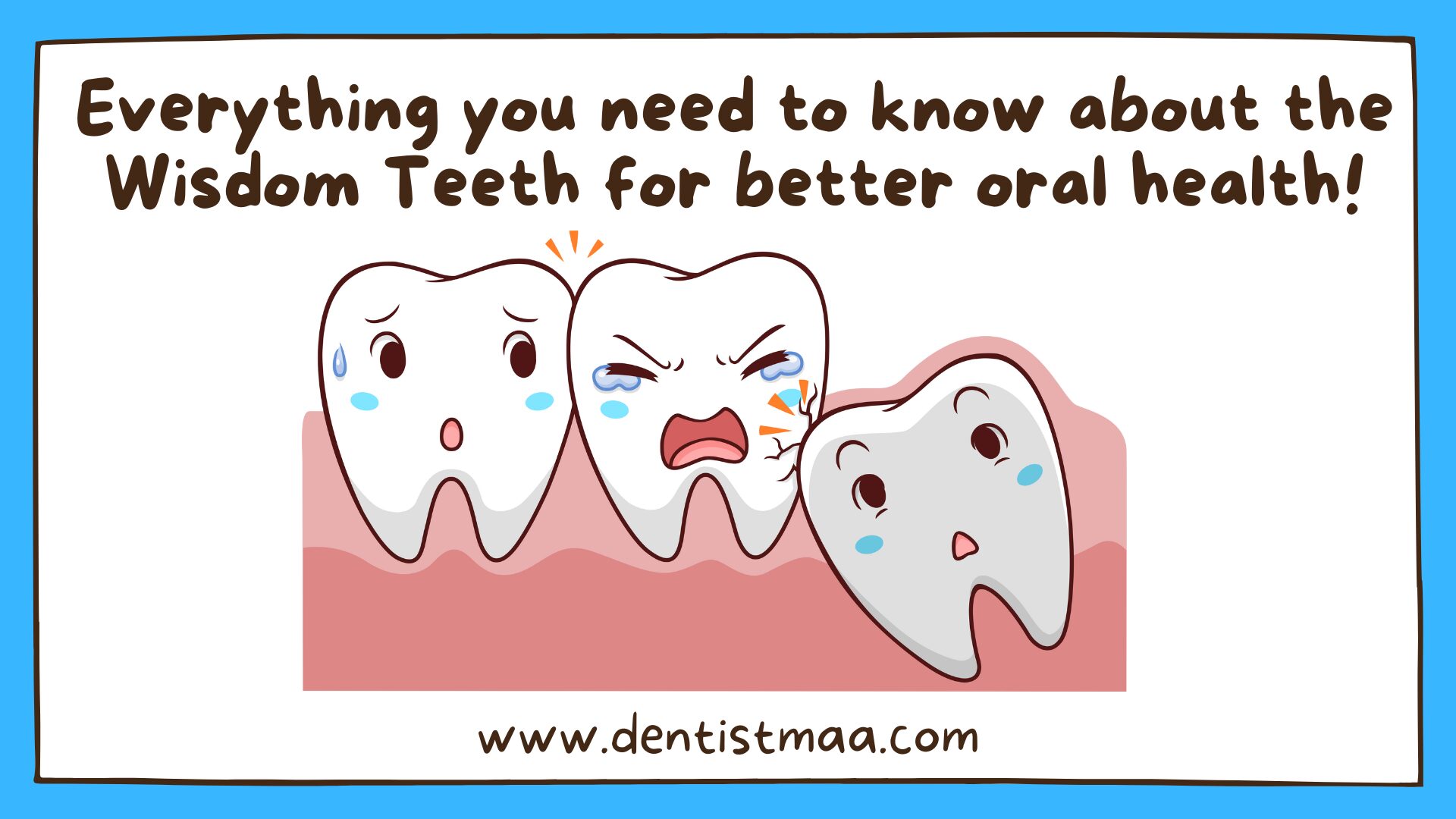 Everything you need to know about the Wisdom Teeth for better oral ...