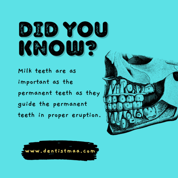 7 Things Parents Should Know About Milk Teeth (Baby Teeth)! - DentistMaa