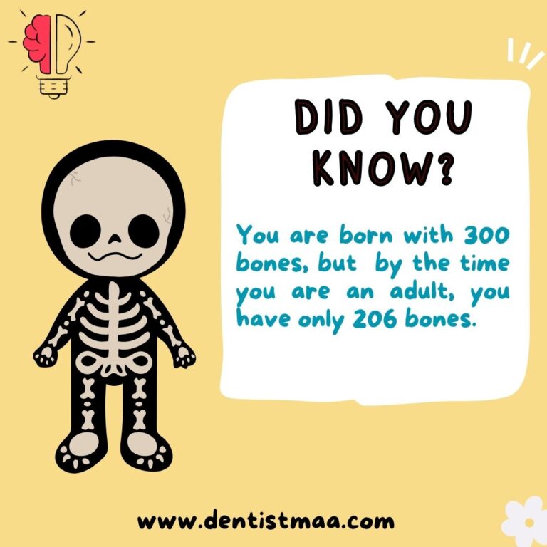 21 Interesting Human Body Facts Kids Would Love - DentistMaa